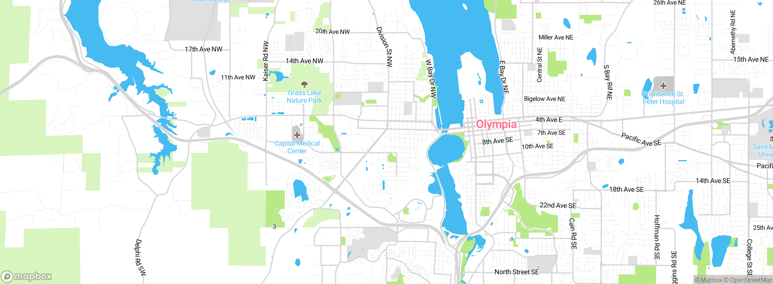 Room for rent by Theresa in Olympia, WA · Roommates.com